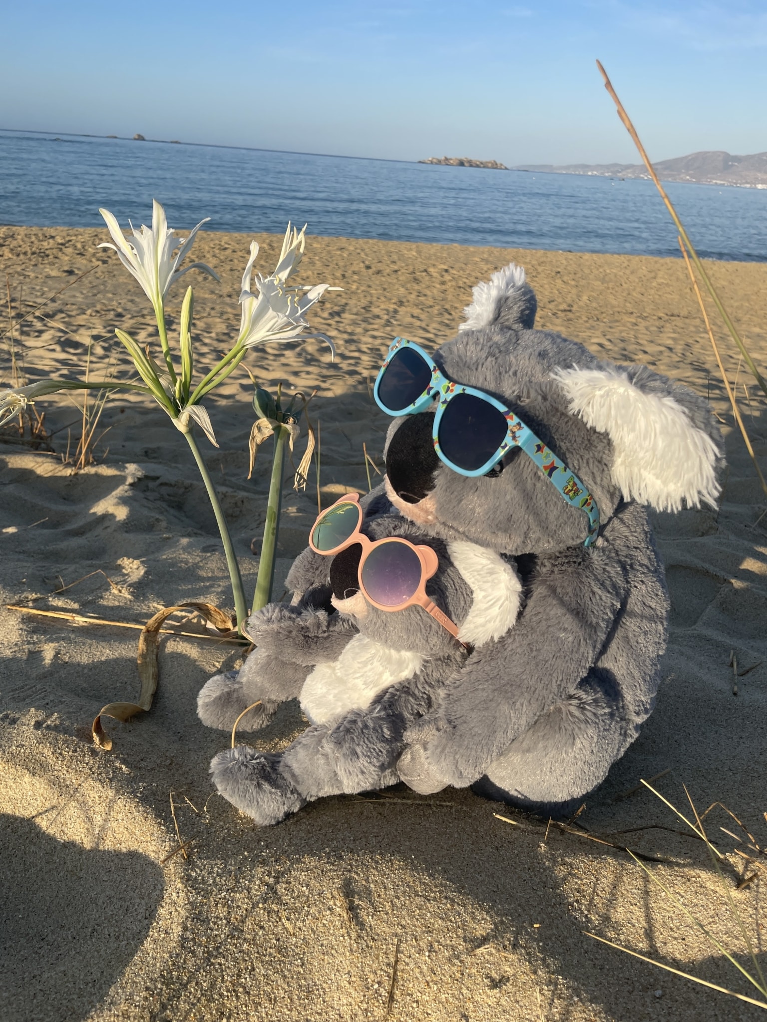 Terminreservierung - kinderarzt-rodler.at